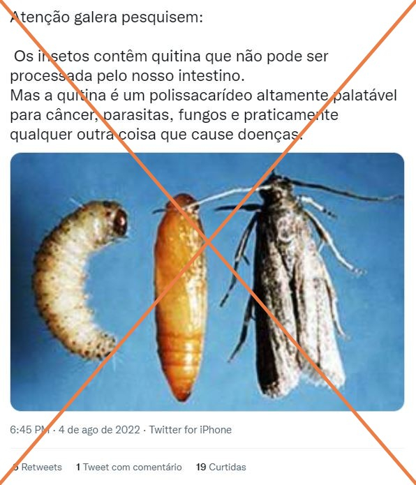 A quitina dos insetos não os torna perigosos para o consumo humano ...