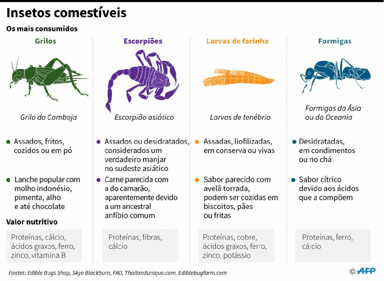 A quitina dos insetos não os torna perigosos para o consumo humano ...